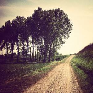 FocusOn 1.55: Emma Barreca aka @Hypoison on Instagram | Instagramers.com