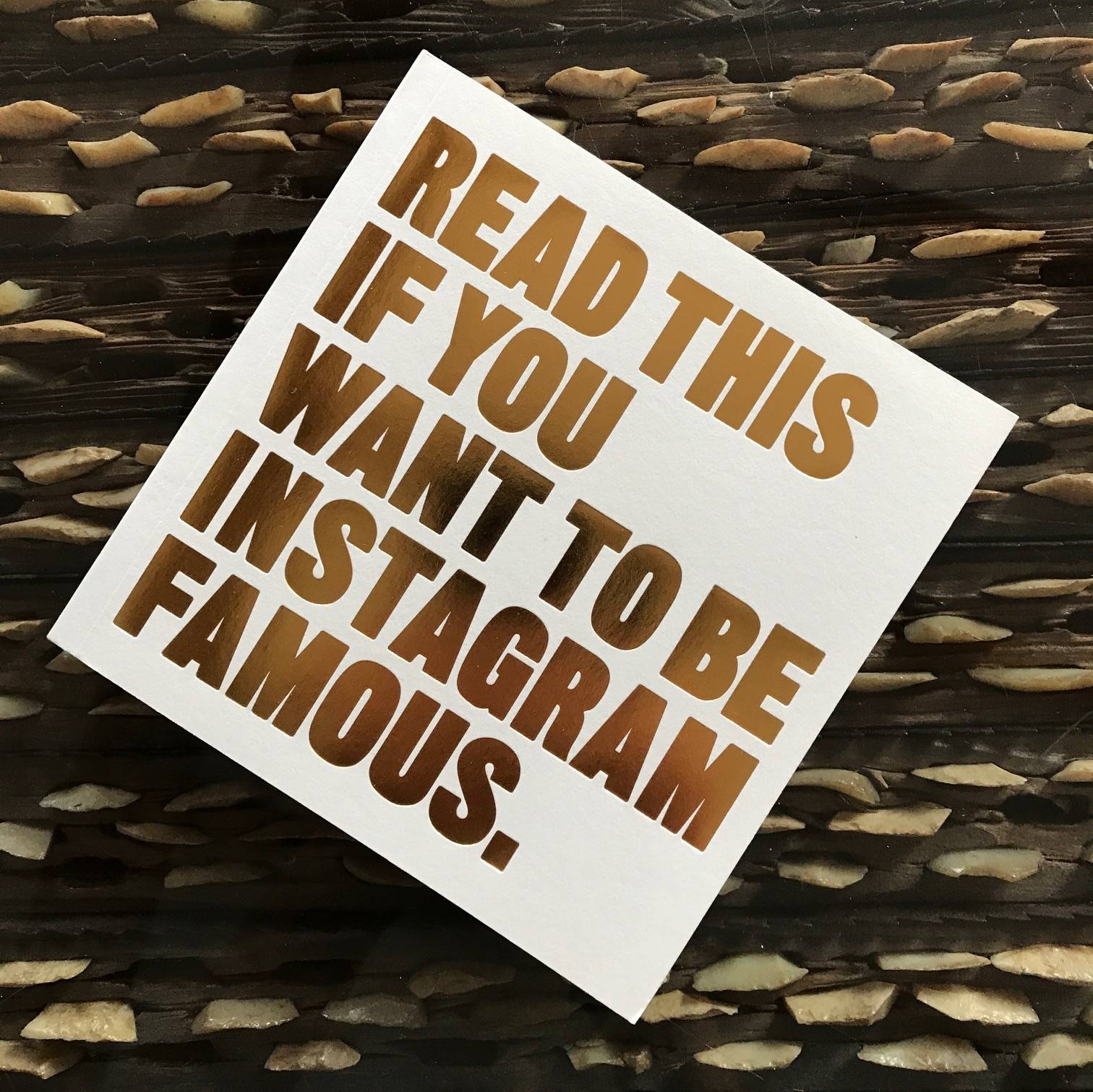 Read This if You Want to Be Instagram Famous | Instagramers.com